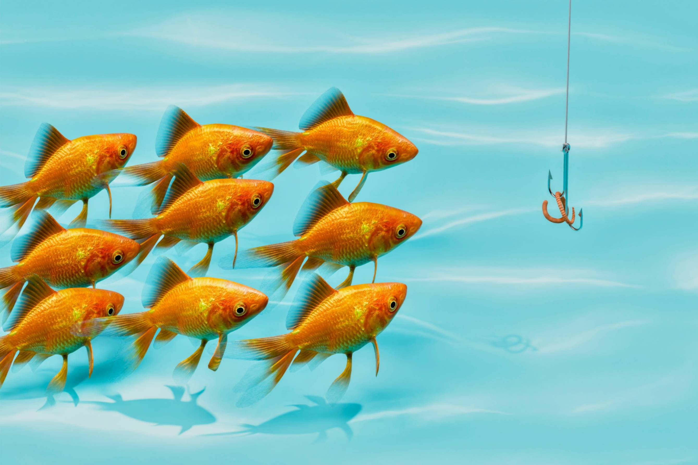 Teaching to Fish: How Municipal Leaders Create Lifelong Problem-Solvers