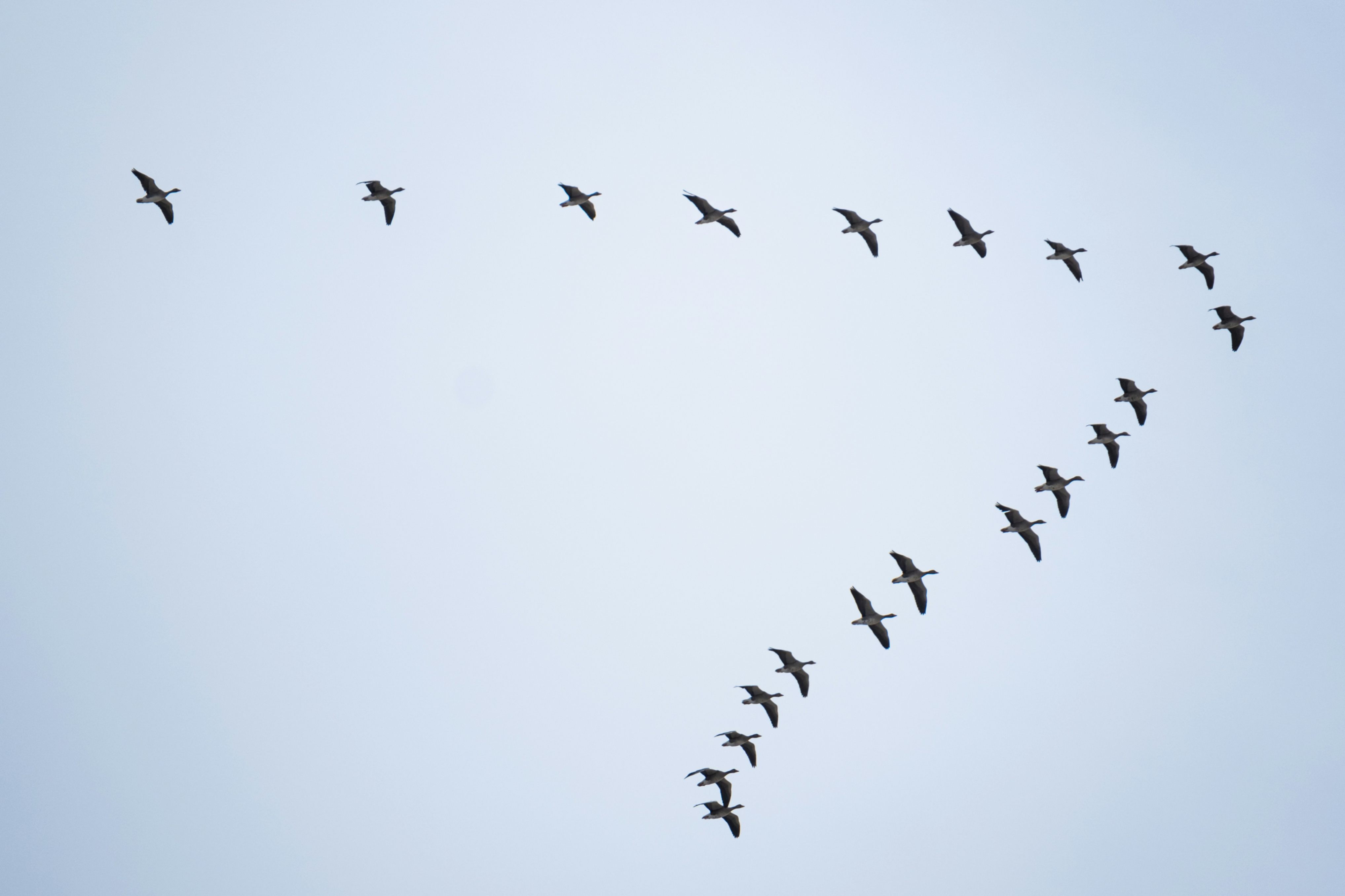 The Leadership Paradox: How Following Fuels Leading